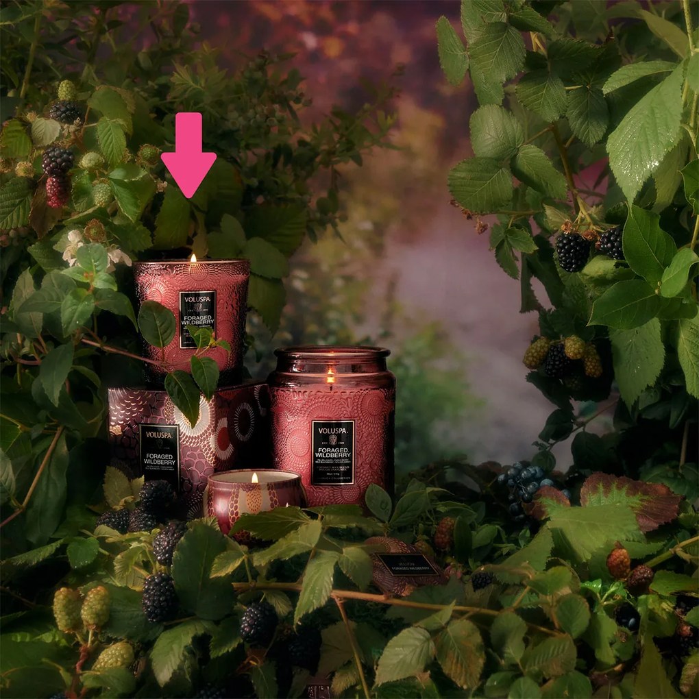 Voluspa svíčka Foraged Wildberry, 255 g