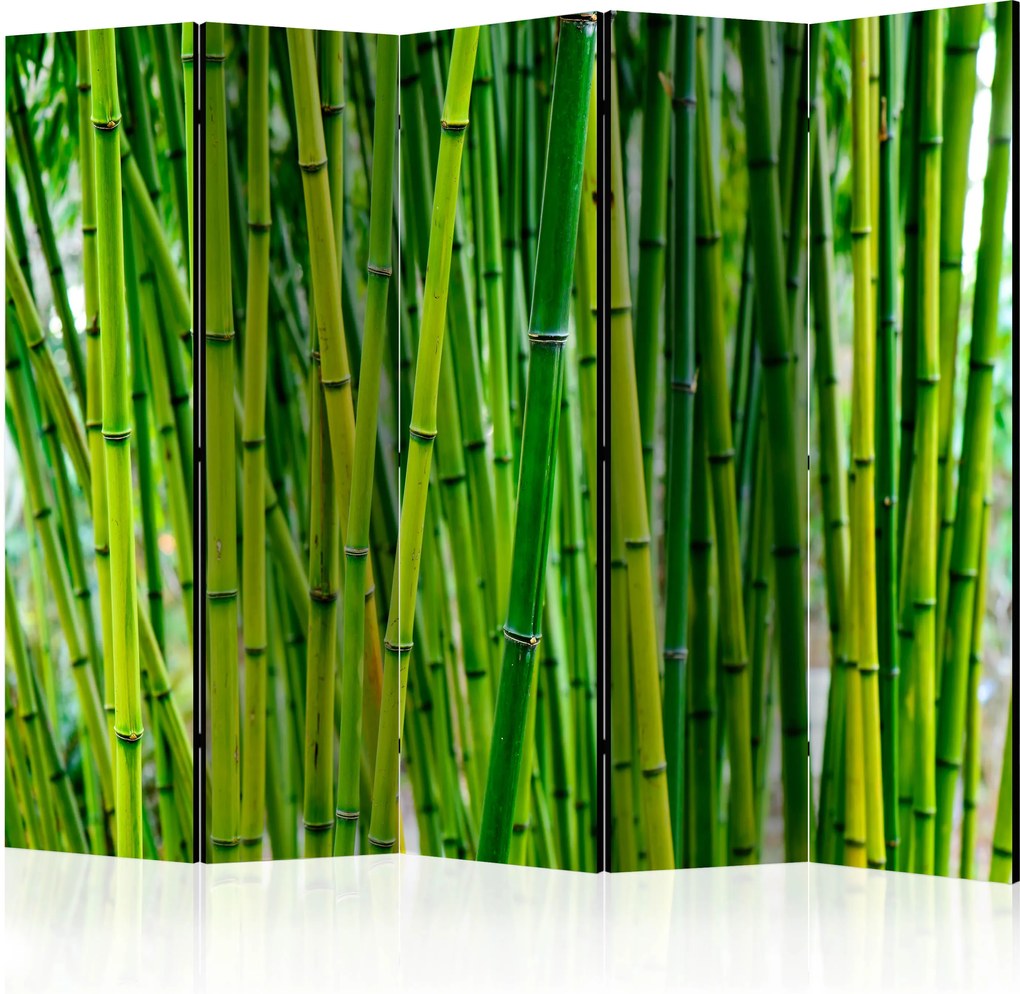 Artgeist Paraván - Bamboo Forest II [Room Dividers] 225x172 7-10 dní