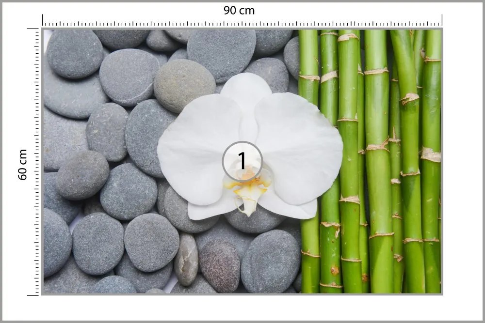 Fototapeta Bambus S Kameny A Orchidejemi Omyvatelný vlies 152.5x104