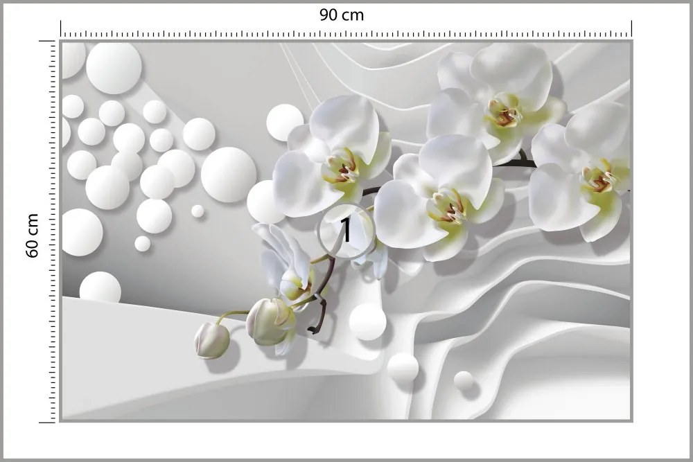Fototapeta Bílé Orchideje Omyvatelný vlies 208x146