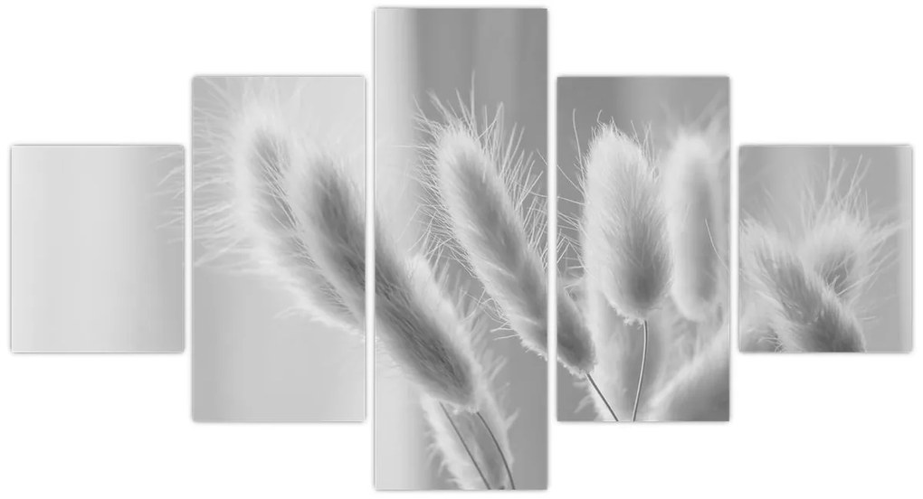 Obraz - Bunny tail grass (125x70 cm)