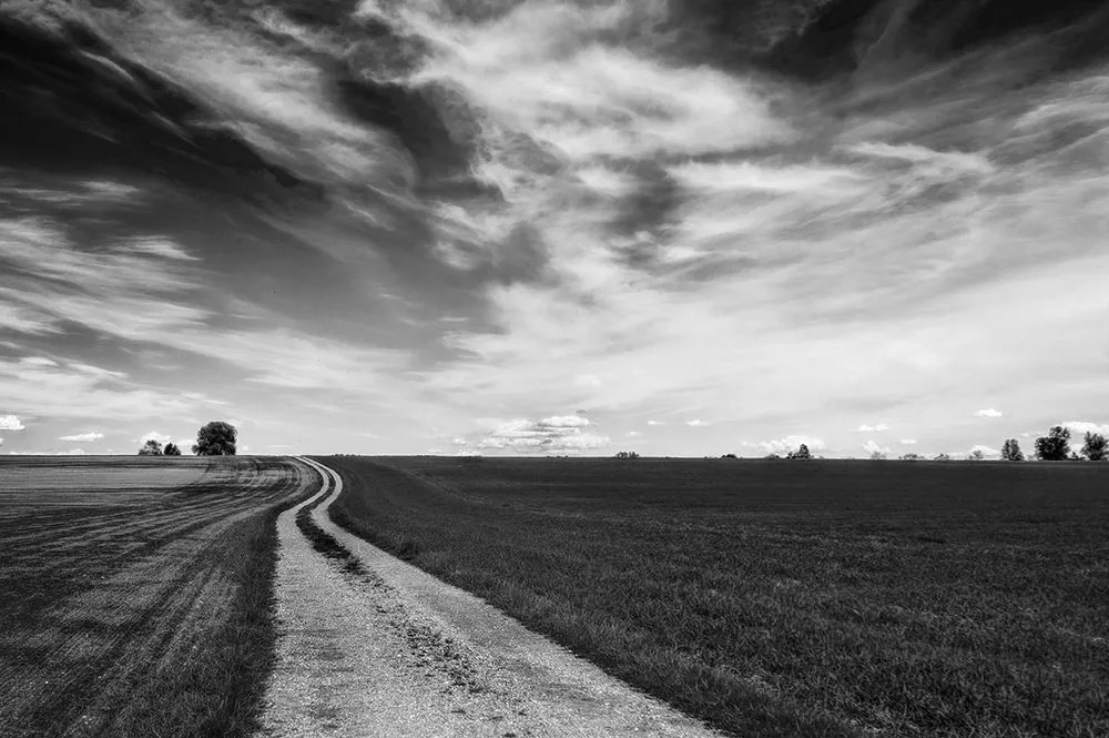 Samolepící fototapeta černobílá čarokrásná krajina