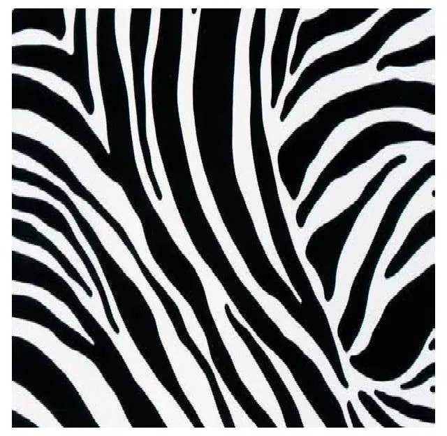 Renovace dveří fólie zebra šíře 67,5 cm x 2,1m - dekor 713