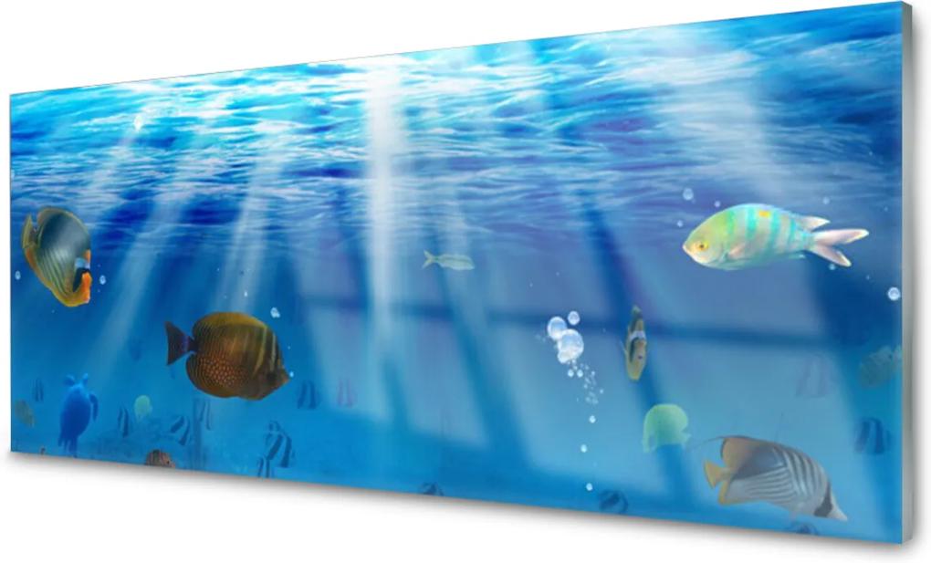Obraz na skle Skleněný Ryba Příroda