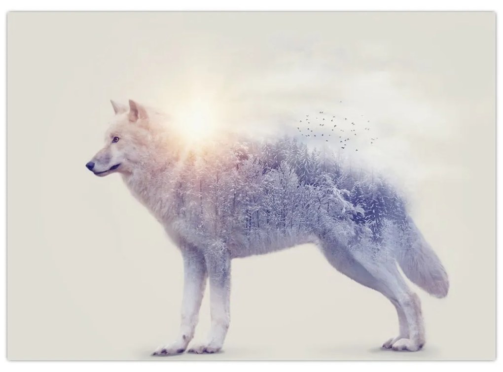 Skleněný obraz - Arktický vlk zrcadlící divokou krajinu (70x50 cm)