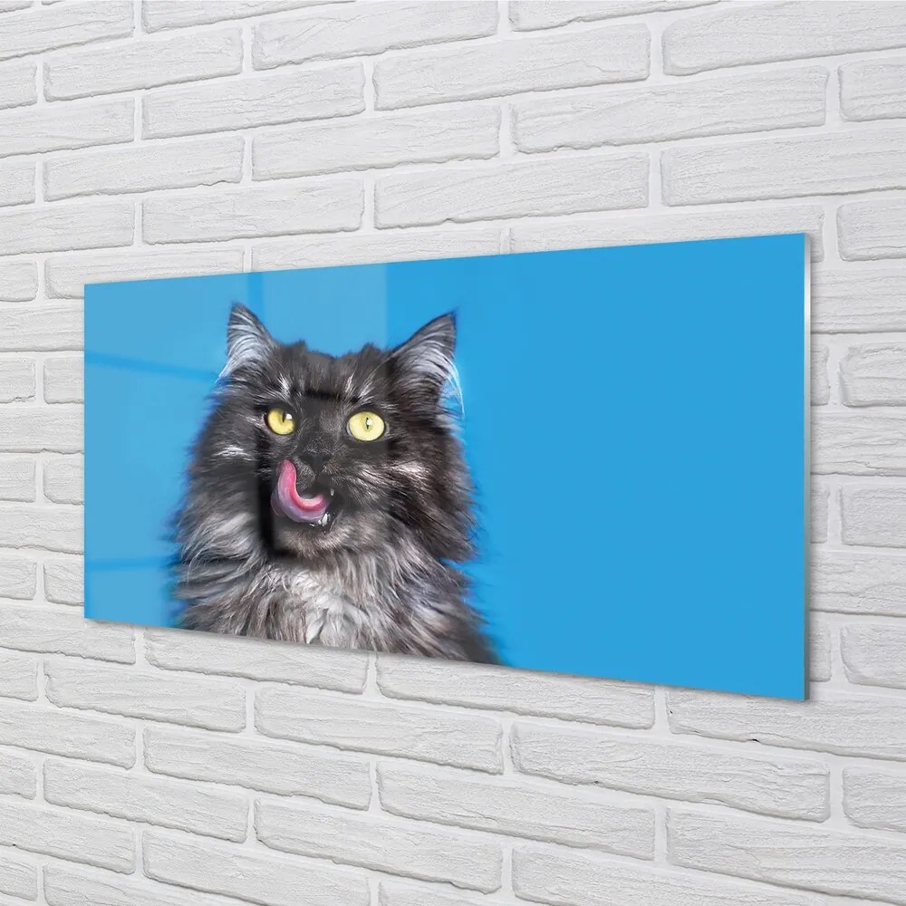 Obraz na skle Oblizujący kočka 125x50 cm