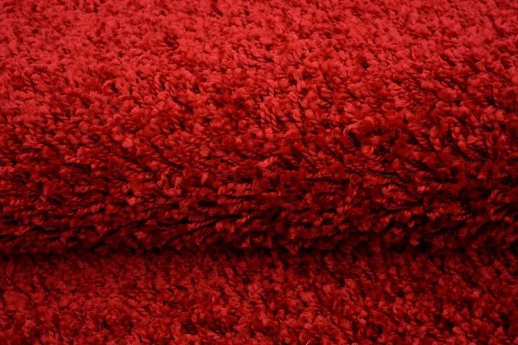 Exkluzivní kusový koberec SHAGGY PORTE-T TK0020 - 70x300 cm