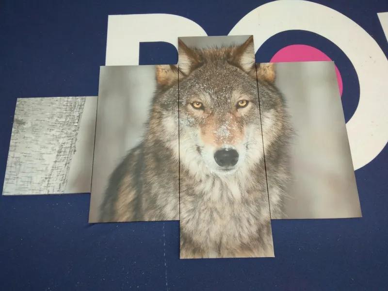 4-dílný obraz - Vlk - PopyDesign