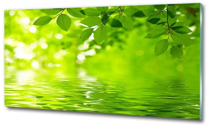 Wallmuralia Foto-obraz fotografie na skle Zelené listí 100x50