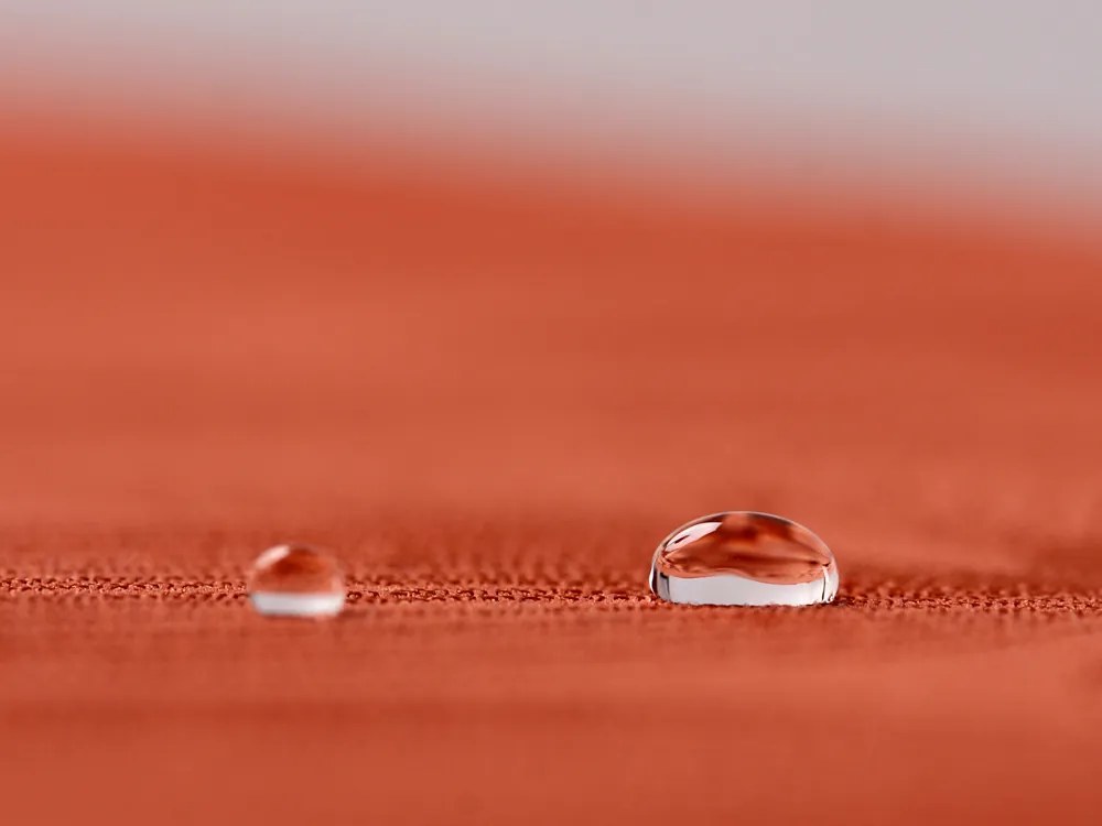 Biante Teflonový obdélníkový ubrus TF-044 Tyrkysové růže na bílém 50x100 cm