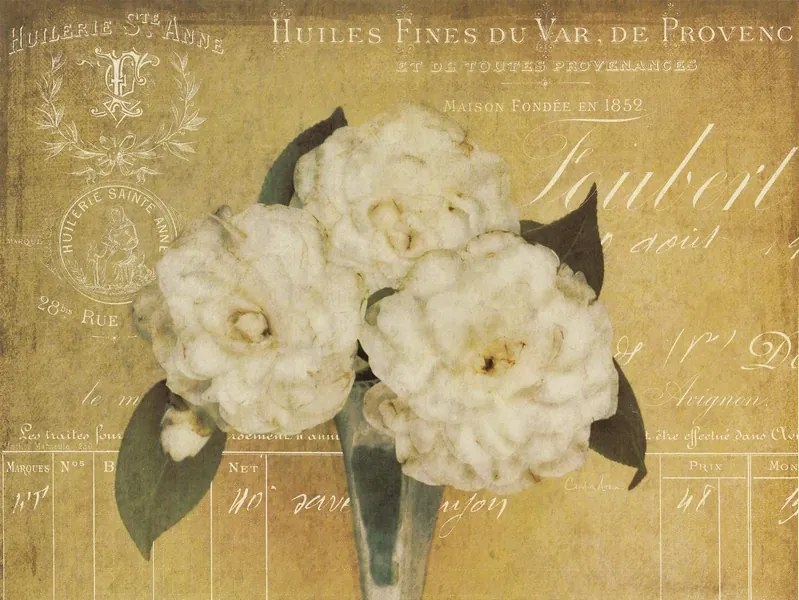 ART-STYLE Obrázek 17x22, květiny ve zlatém I., rám bílý s patinou