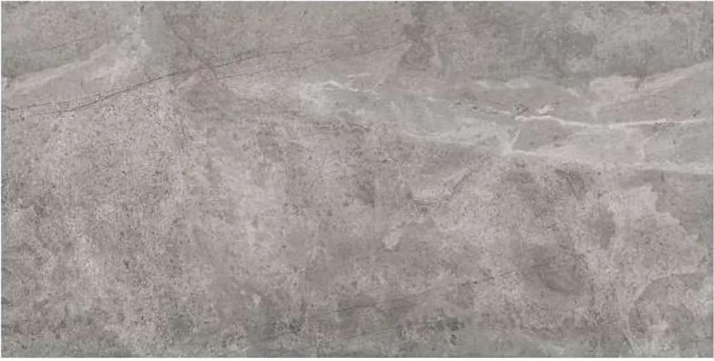 EBS Erding - Dlažba 60x120 cm, lesklá grey ERDL60120GR