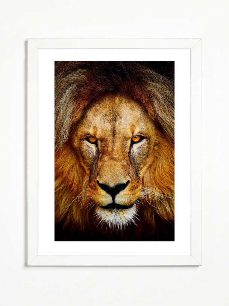 Petr Slavík | Pohled krále Rám: Dubový, Velikost: 40 x 30 cm