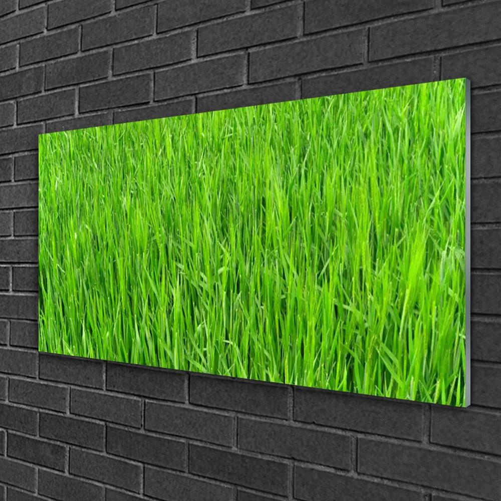 Obraz na skle Zelená Tráva Příroda Trávník 120x60 cm