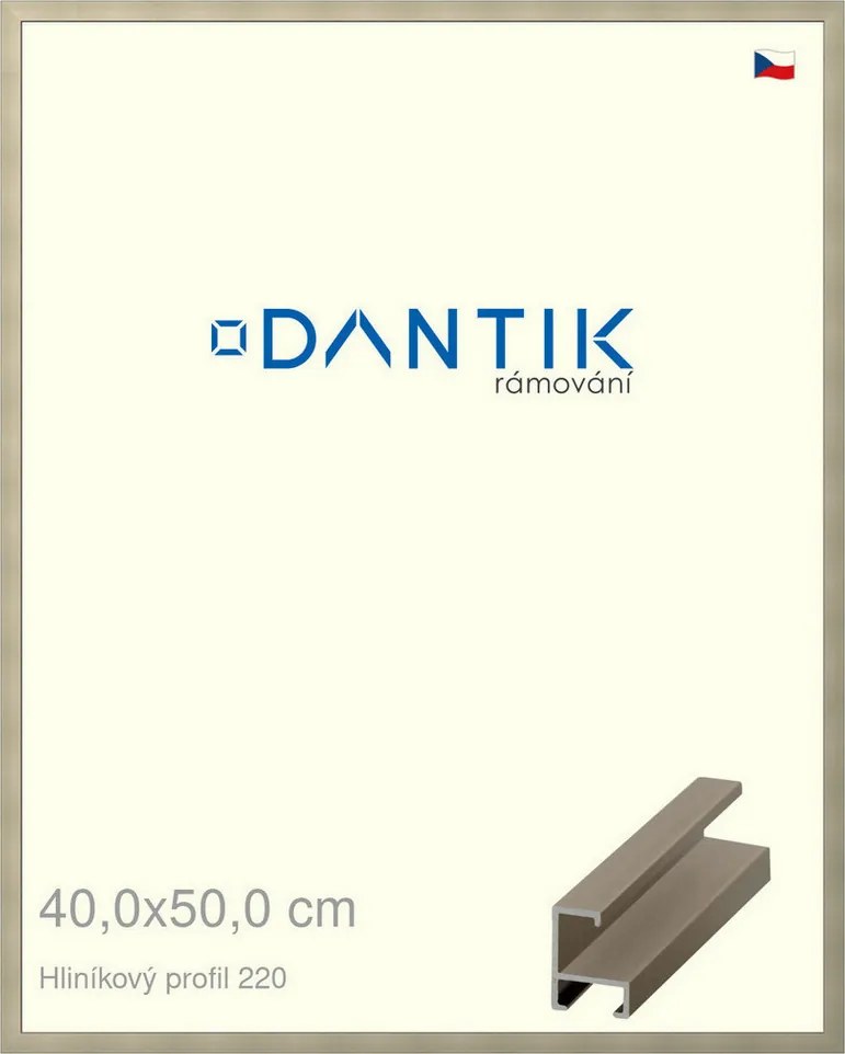 DANTIK rámeček 40x50 | ALU profil 6220 champagne (Sklo Čiré)