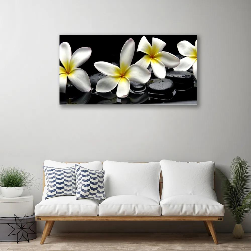 Obraz na plátně Kameny Květiny Lázně 100x50 cm