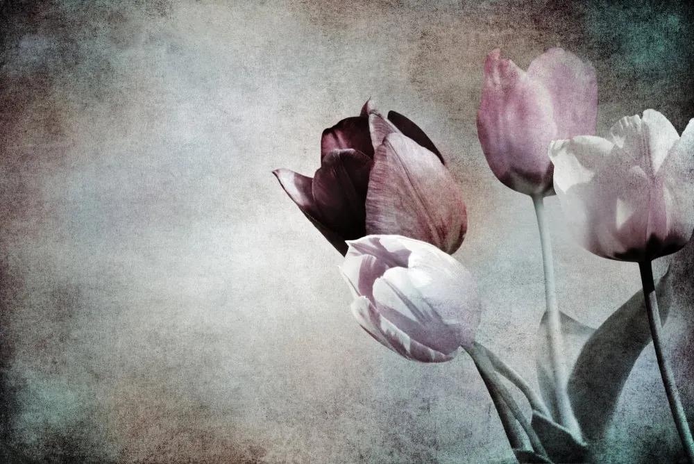 Fototapeta Vintage Tulipány Omyvatelný vlies 135x90