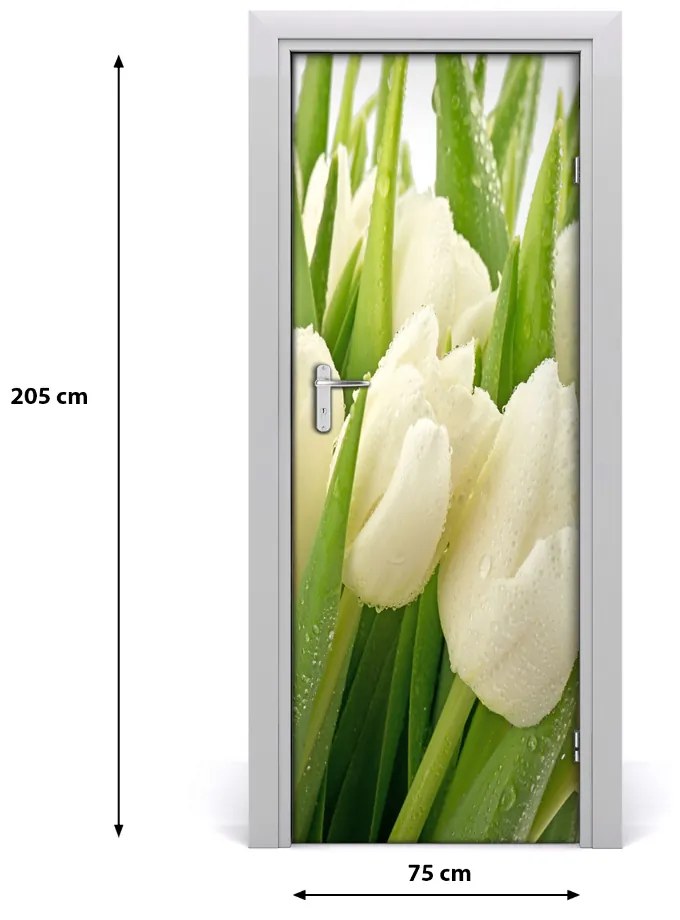 Fototapeta samolepící Bílé tulipány 75x205 cm
