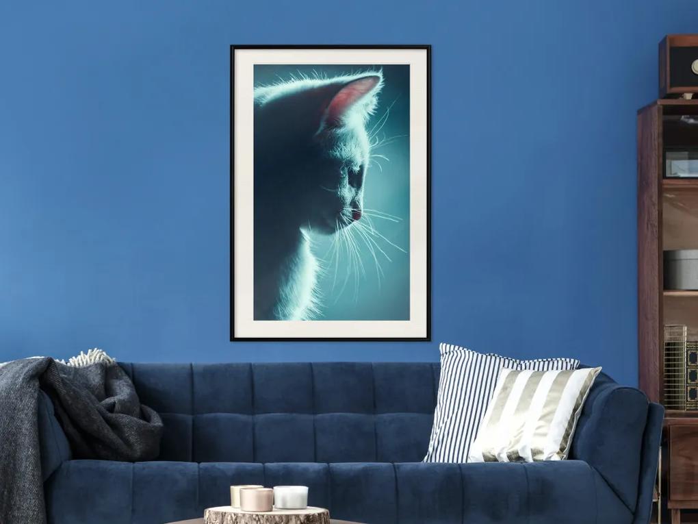 Plakát Noční tulák - portrét kočky v zimní noční modré záři