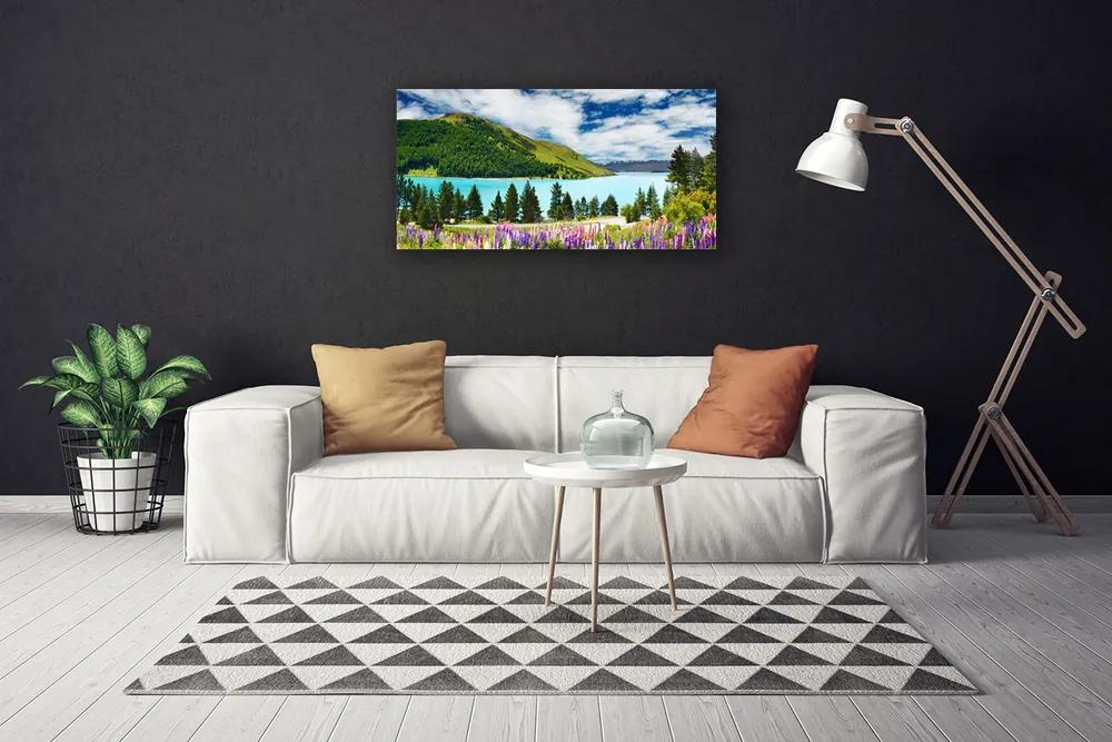 Obraz na plátně Hora Les Jezero Krajina 100x50 cm