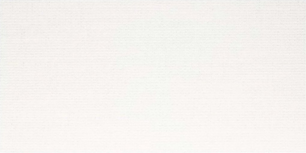 RAKO Next - Obklad 29,8x59,8 cm, světle šedá WARVK500