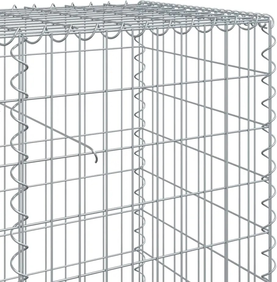 Gabionový koš s víkem 100 x 50 x 100 cm pozinkované železo 3295142