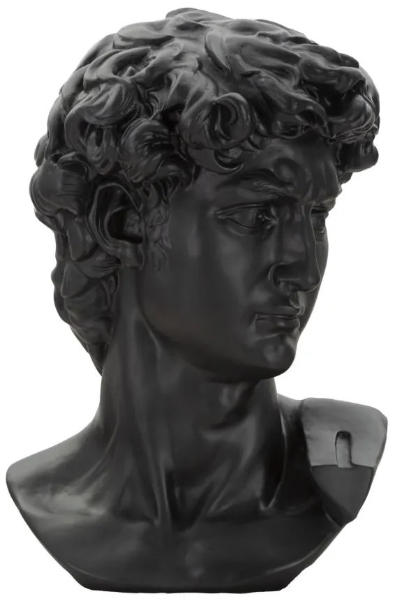 Mauro Ferretti Socha hlavy 44X35,5X60 cm
