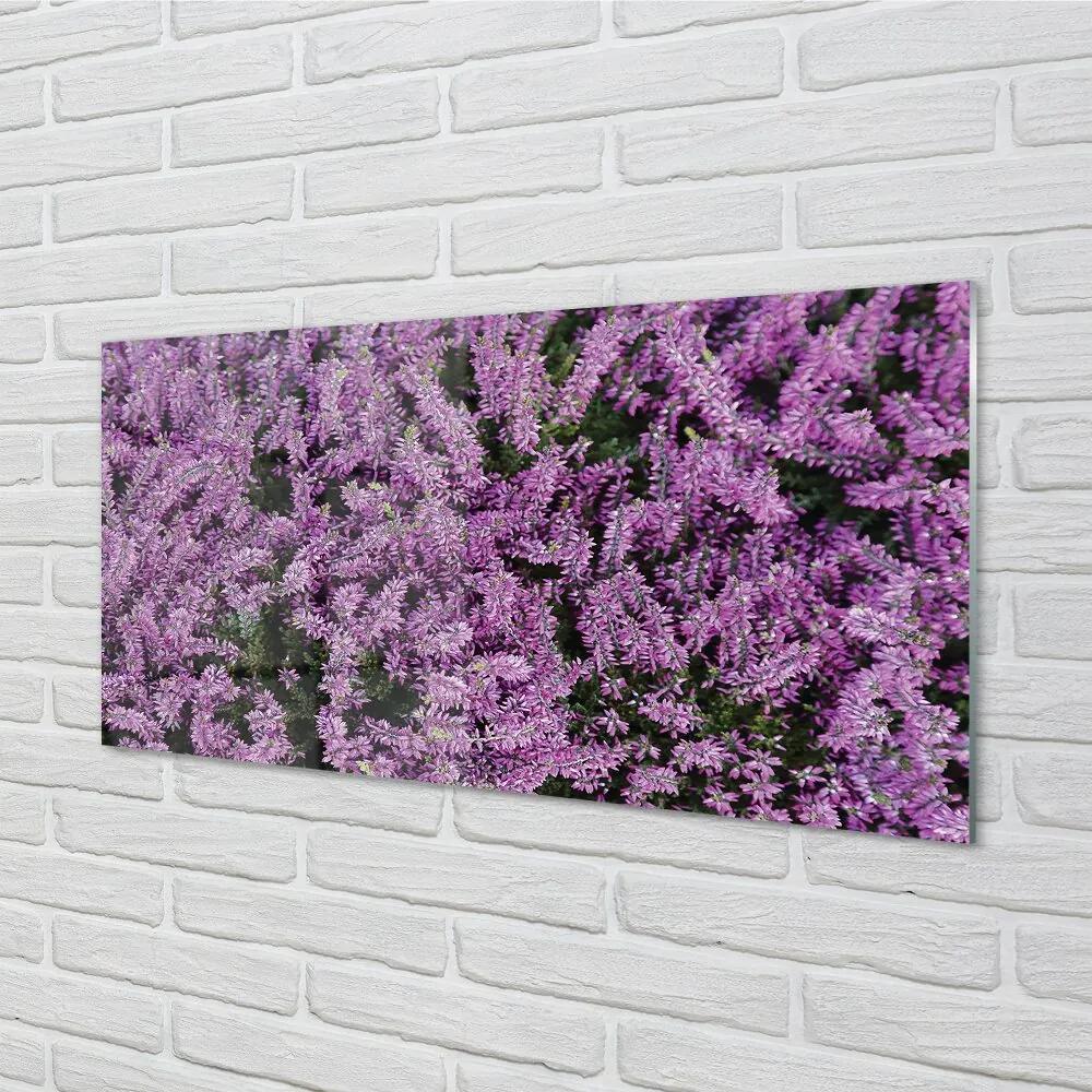Obraz na skle fialové květy 140x70 cm