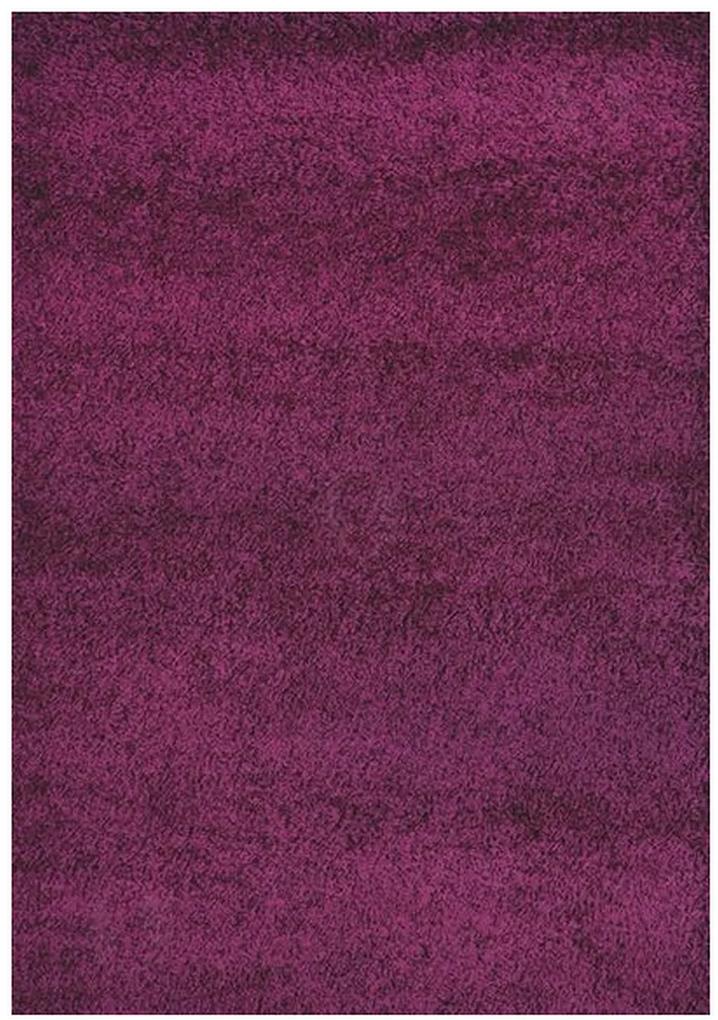 Kusový koberec SHAGGY plus 957 purple 200x290cm