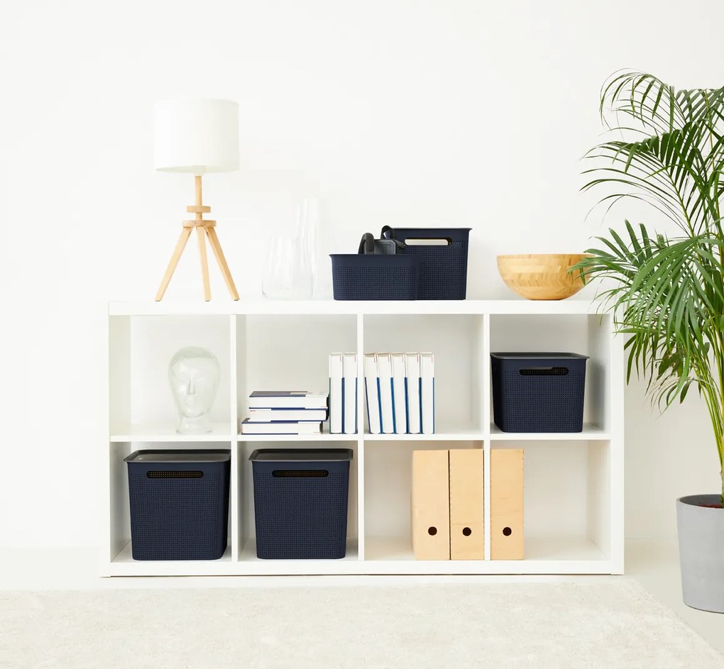 Rotho Úložný box s madly BRISEN 18l, 29x29x29cm, černý