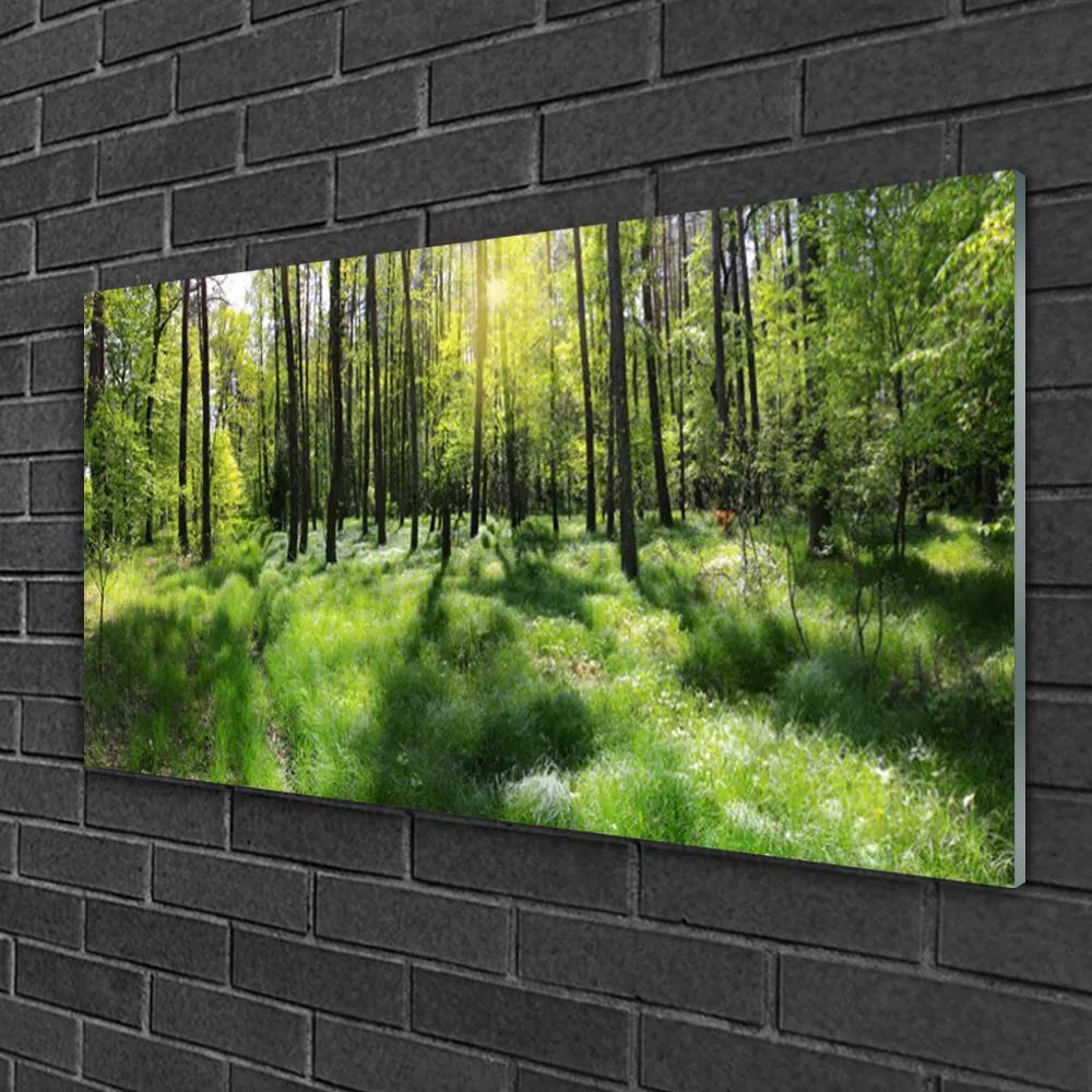 Obraz na skle Les Tráva Rostlina Příroda 120x60 cm