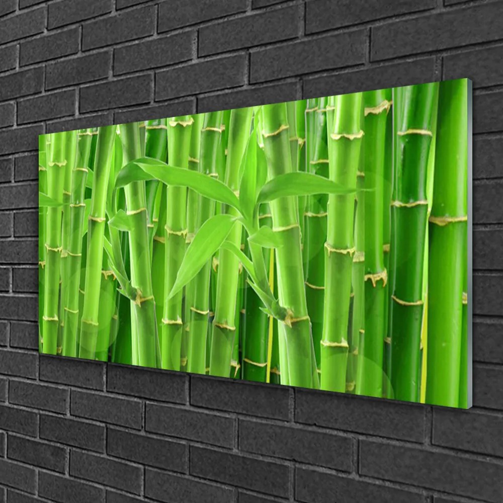 Obraz na skle Bambus Stonek Květ Rostlina 125x50 cm
