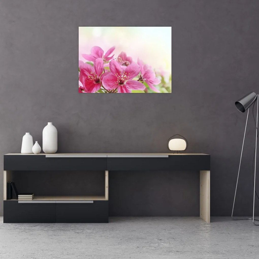 Skleněný obraz - Růžové květy (70x50 cm)
