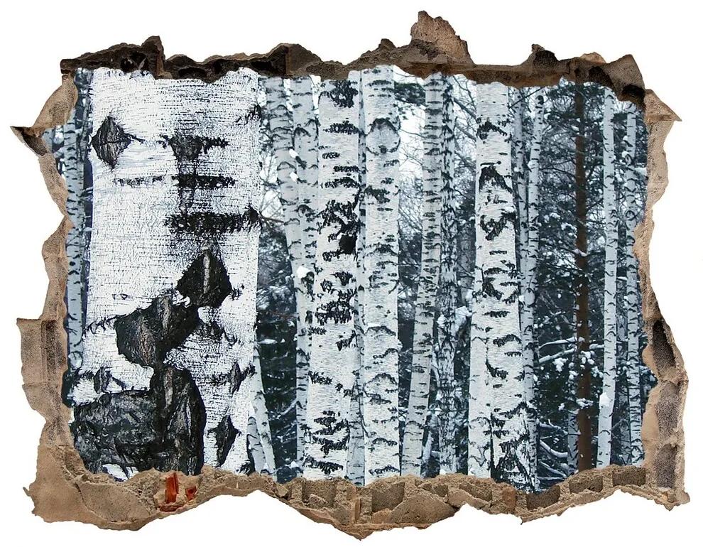 Wallmuralia Samolepící díra na stěnu Stromy břízy 95x64 cm