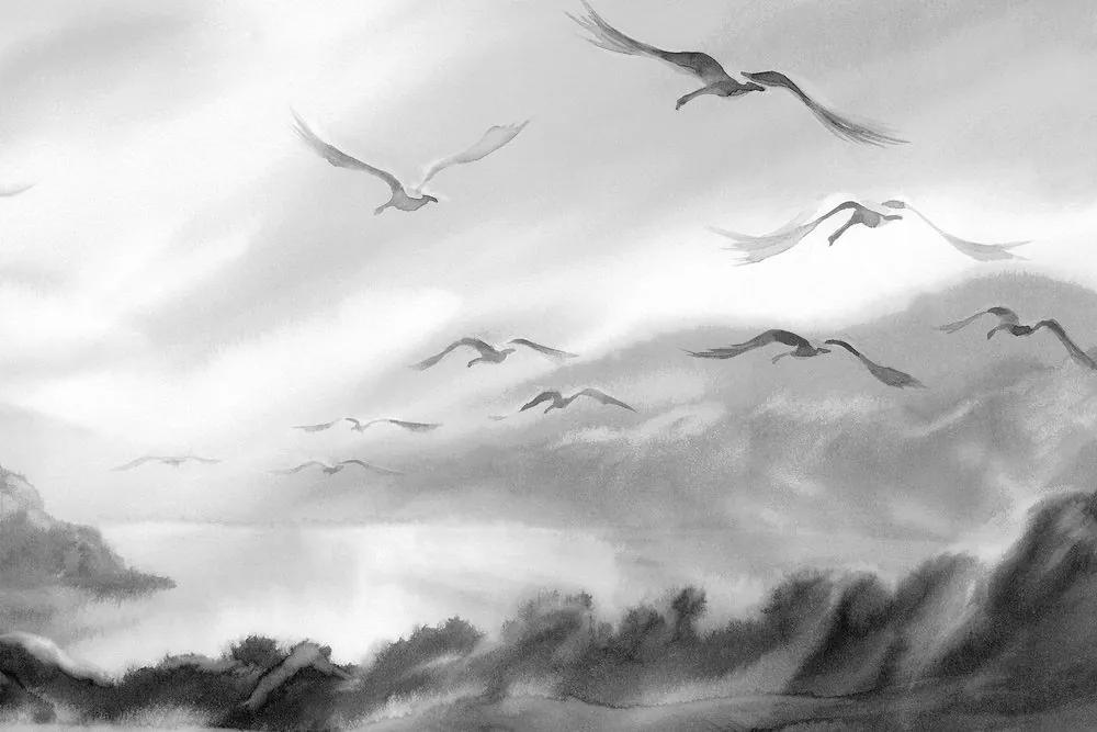 Obraz přelet ptáků přes krajinkou v černobílém provedení Varianta: 120x80