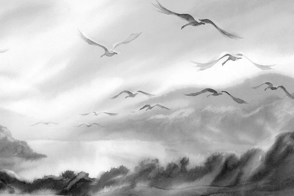 Obraz přelet ptáků přes krajinkou v černobílém provedení Varianta: 90x60