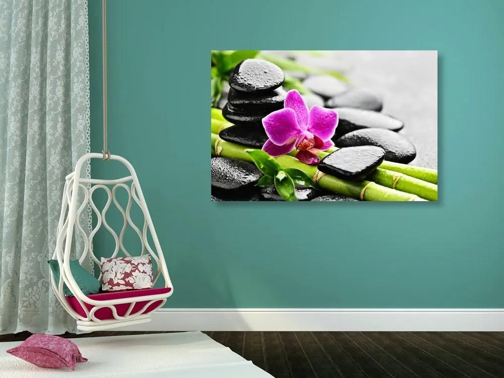 Obraz Spa zátiší s fialovou orchidejí - 60x40 cm