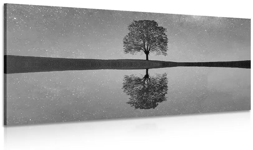 Obraz hvězdná obloha nad osamělým stromem v černobílém provedení Varianta: 100x50