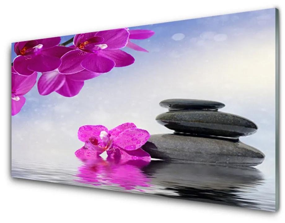 Kuchyňský skleněný panel Květiny Kameny Rostlina 100x50 cm
