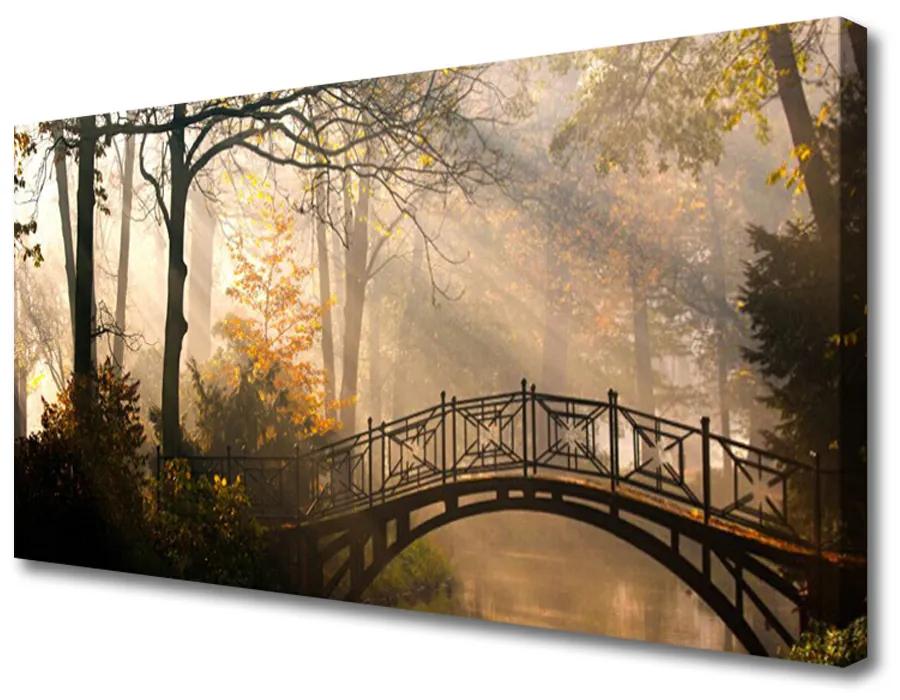 Obraz na plátně Les Most Architektura 100x50 cm