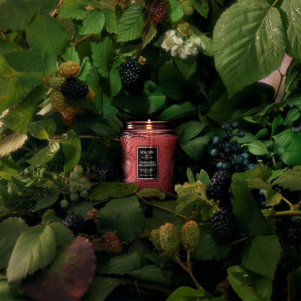 Voluspa svíčka Foraged Wildberry, 156 g