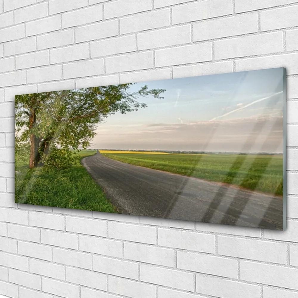 akrylový obraz Scesta Strom Tráva Krajina 125x50 cm
