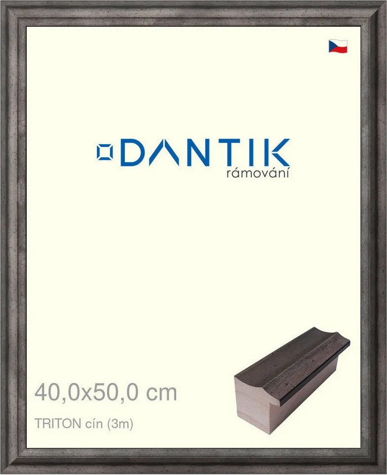 DANTIK rámeček 40x50 | TRITON cín (Sklo Čiré)