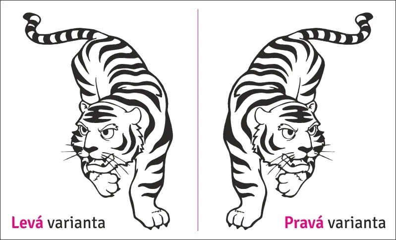 WALLVINIL Samolepky na zeď - Tygr na lovu Barva: Červená tmavá, Velikost: 80x65 cm, Pravá / Levá: Pravá (dekorace směřuje/dívá se doprava)