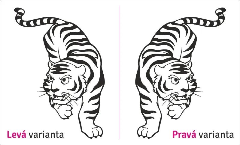 WALLVINIL Samolepky na zeď - Tygr na lovu Barva: Hnědá tmavá, Velikost: 60x49 cm, Pravá / Levá: Pravá (dekorace směřuje/dívá se doprava)