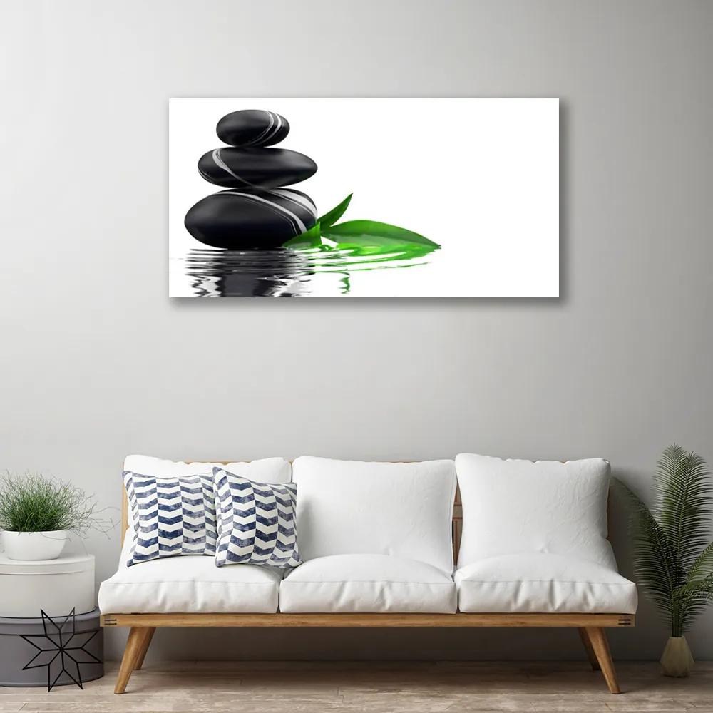 Obraz na plátně Kameny Listy Voda Umění 125x50 cm