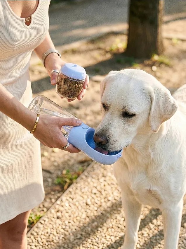 Sinsay - Láhev pro psa s nádobkou na pamlsky - modrá