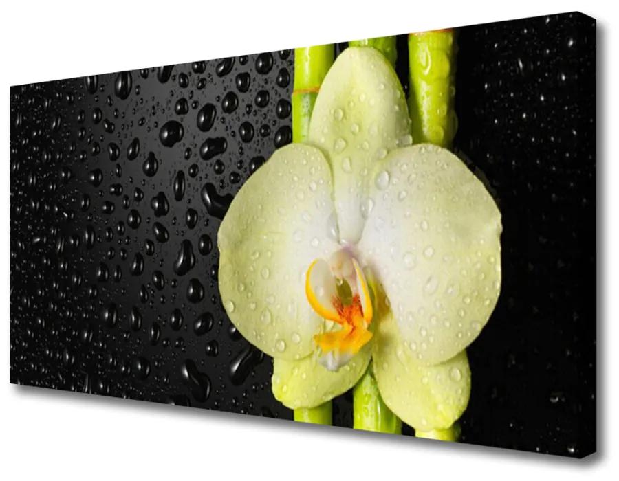 Obraz na plátně Bambus Květ Orchidej 140x70 cm