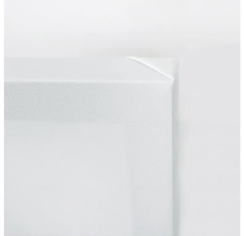 Gario Obraz na plátně Filmová koláž Velké problémy v Malé Číně - DDJVigo Rozměry: 40 x 60 cm