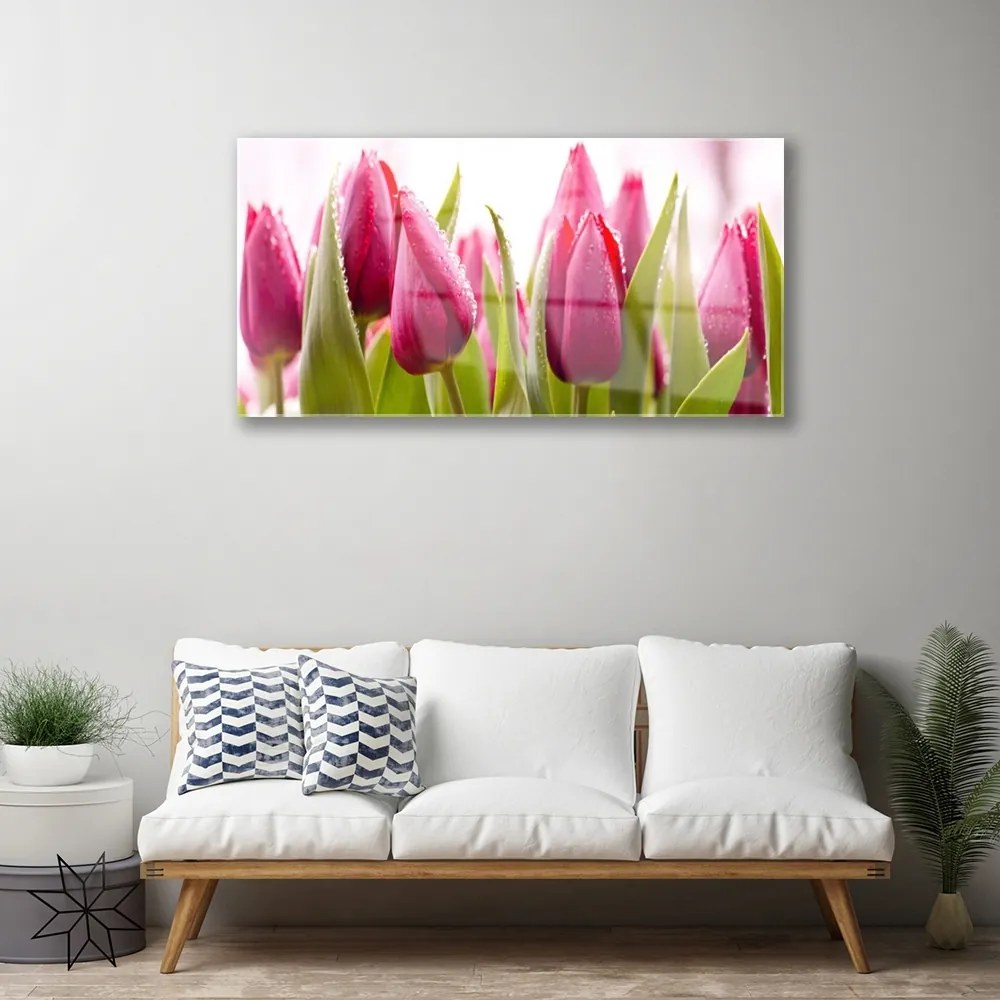 Obraz na skle Tulipány Květiny Rostlina 100x50 cm